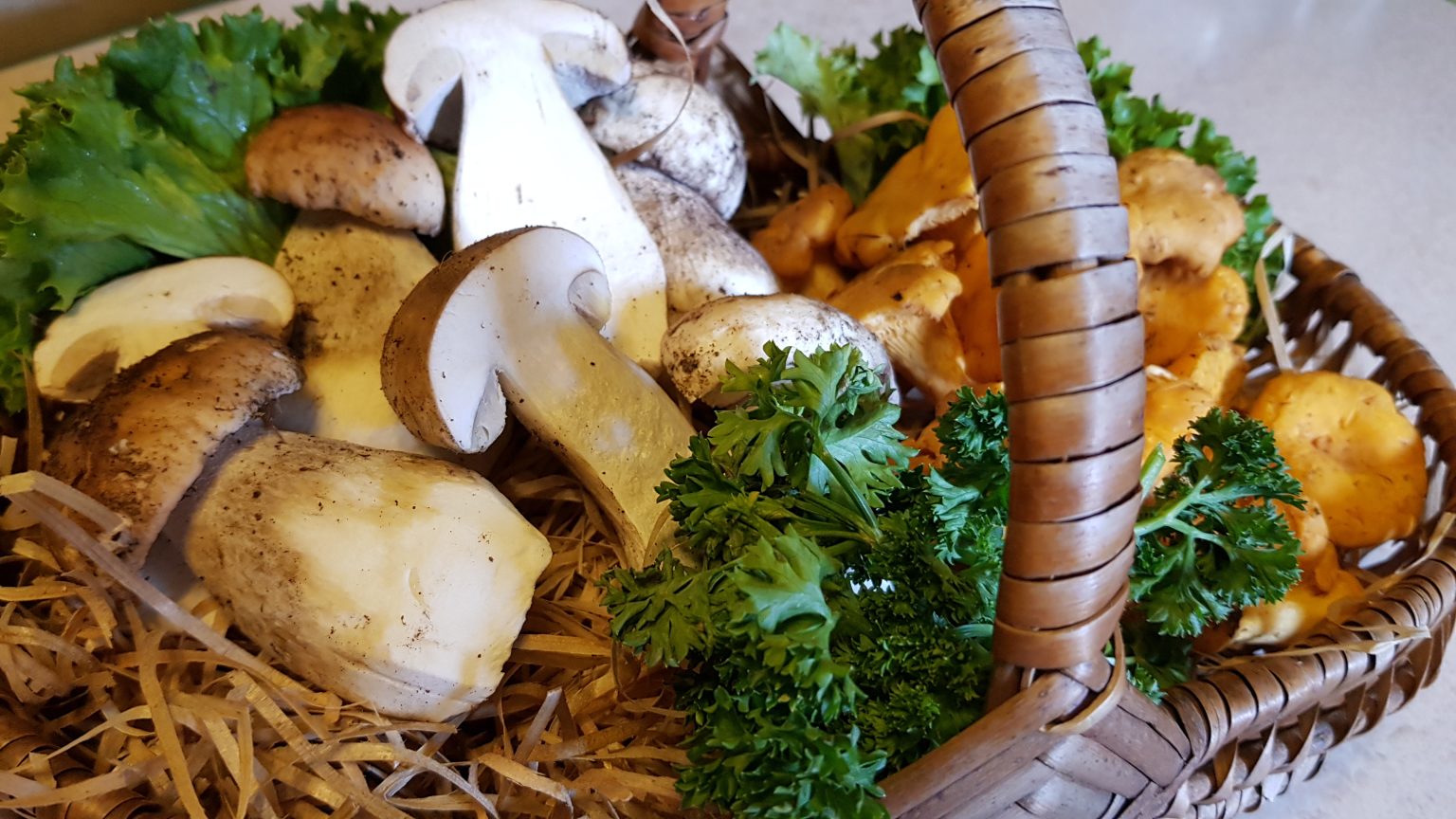 Restaurant Musil – Familienbetrieb seit 1910